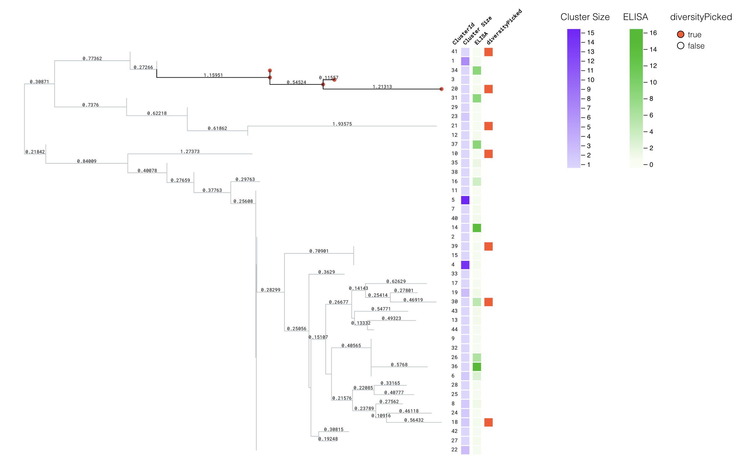 Sanger sequence analysis of antibodies